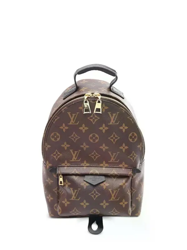 LOUIS VUITTON Monogram Palm Springs Backpack - Brown