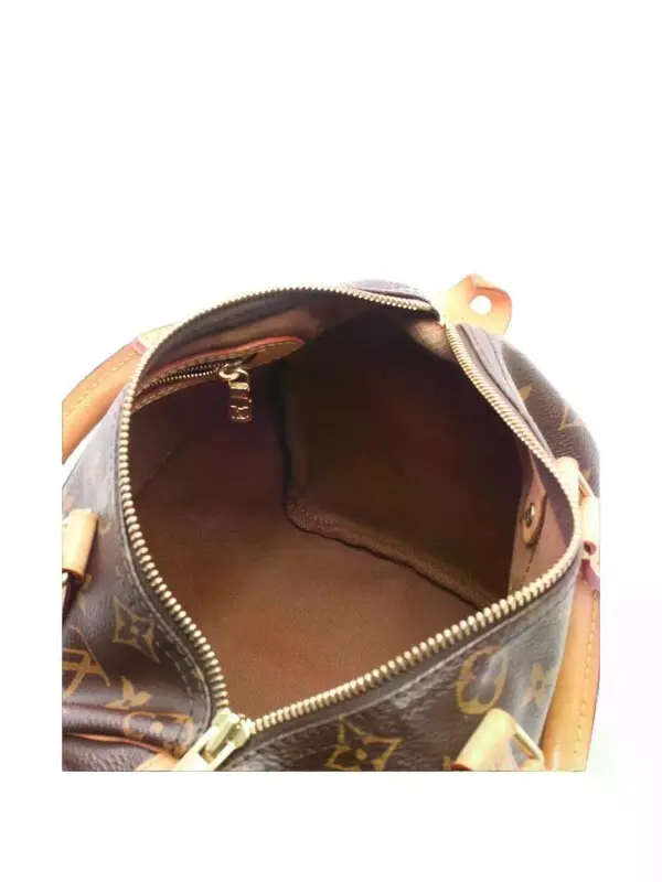 LOUIS VUITTON Speedy 25 Monogram Canvas Tote Bag