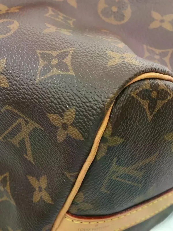 LOUIS VUITTON Speedy Bandoulière Monogram Luggage - Brown