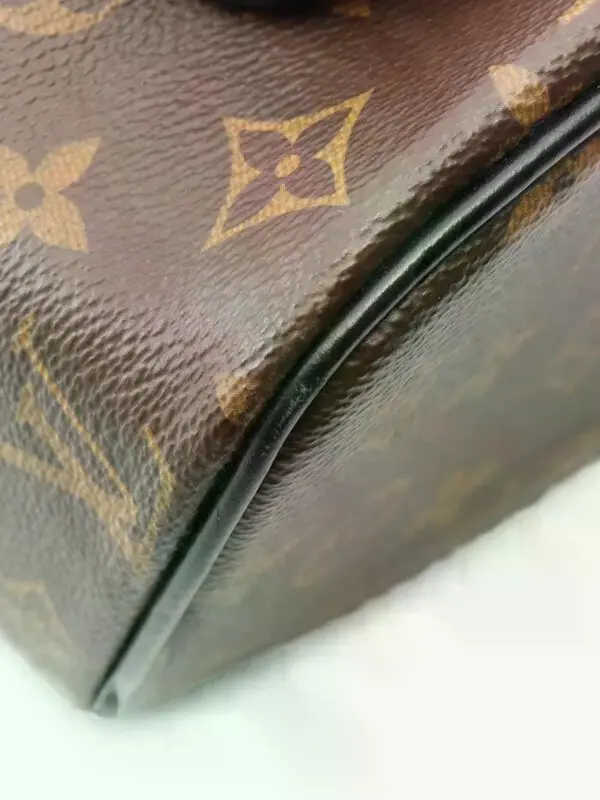 LOUIS VUITTON 2021 Josh Nv Monogram Macassar Backpack