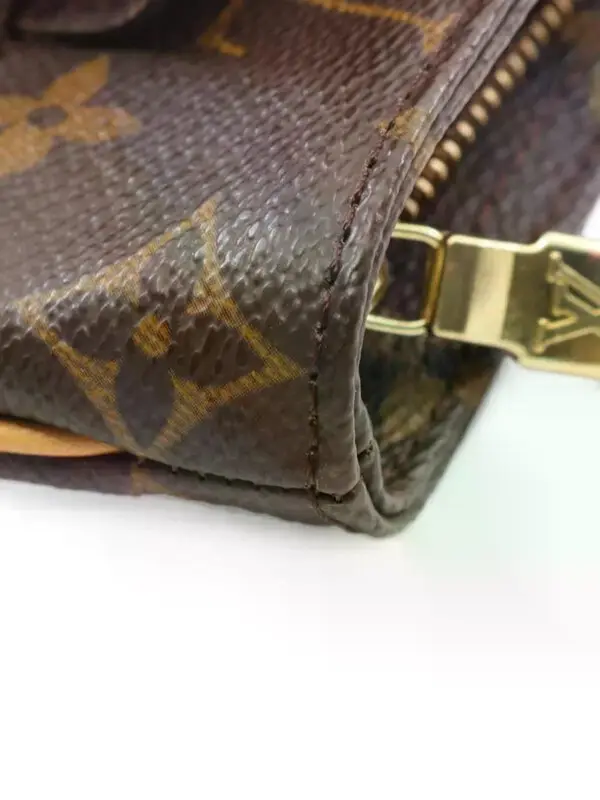 LOUIS VUITTON Monogram Pouch