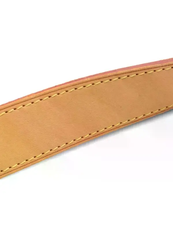 LOUIS VUITTON Monogram Thames Shoulder Bag