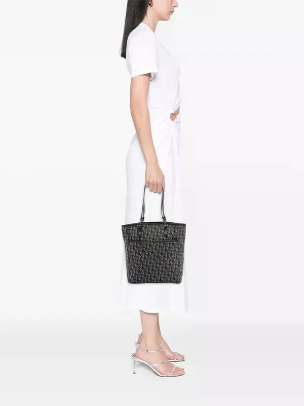 Dior Trotter Canvas Tote Bag