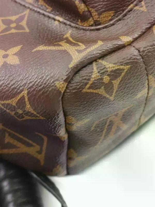 LOUIS VUITTON Monogram Canvas Palm Springs Mm Backpack - Brown