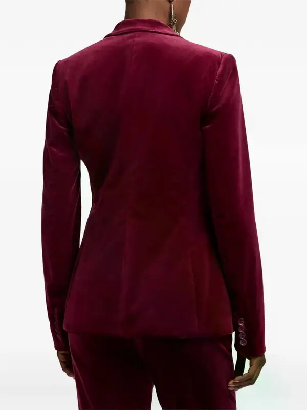 Ralph Lauren Parker Blazer