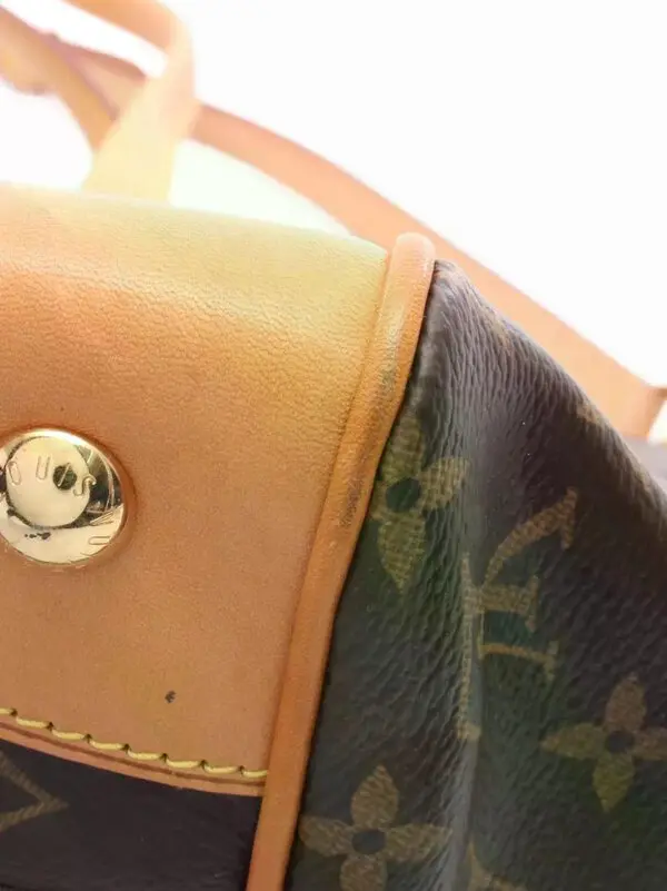 LOUIS VUITTON Estrella Monogram Tote Bag