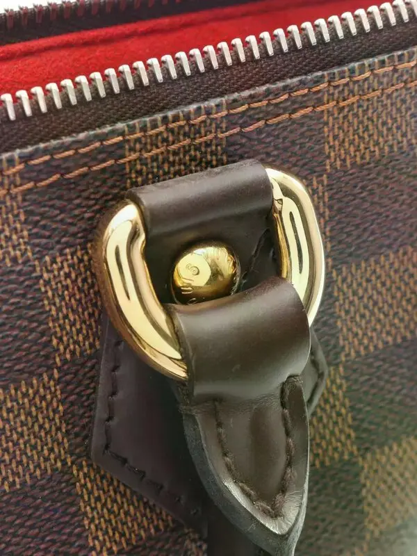 LOUIS VUITTON 2006 Saleya Pm Damier Ebene Tote Bag