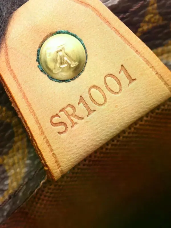 LOUIS VUITTON Vavin Pm Monogram Tote Bag