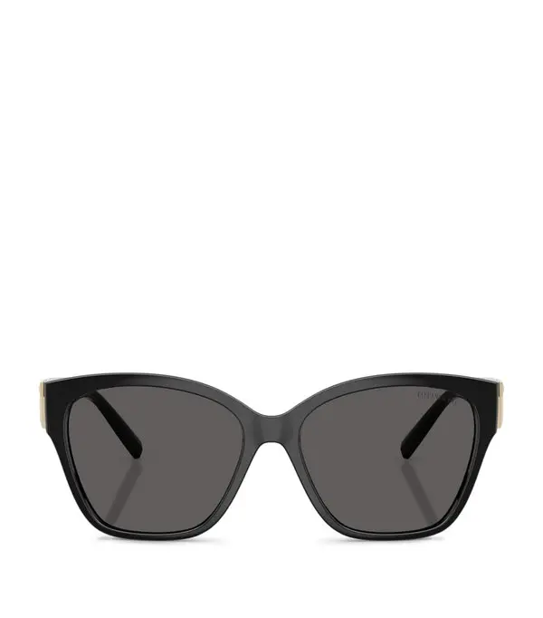 Tiffany & Co. Square Frame Sunglasses