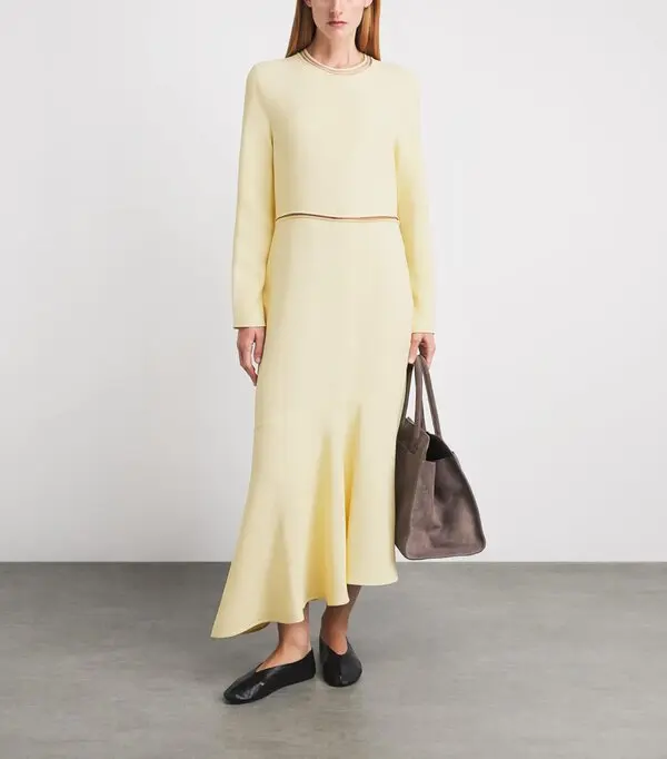 Fabiana Filippi Asymmetrical Midi Dress
