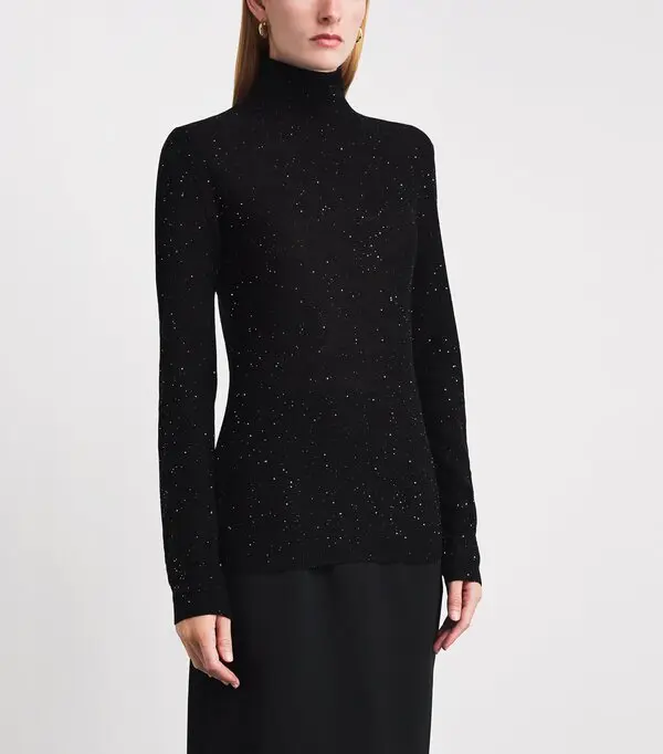 Fabiana Filippi Virgin Wool Embellished Rollneck Sweater
