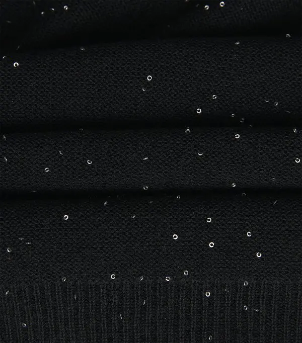 Fabiana Filippi Virgin Wool Embellished Rollneck Sweater