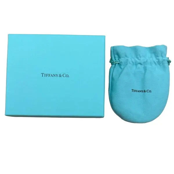 Tiffany & Co. Sterling Silver Toggle Chain Necklace