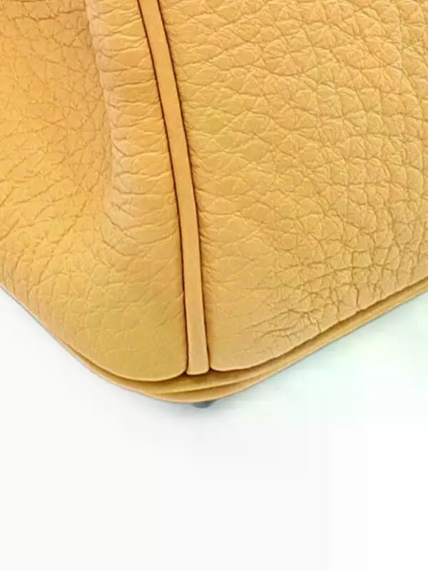Hermès 2026 25 Birkin Tote Bag