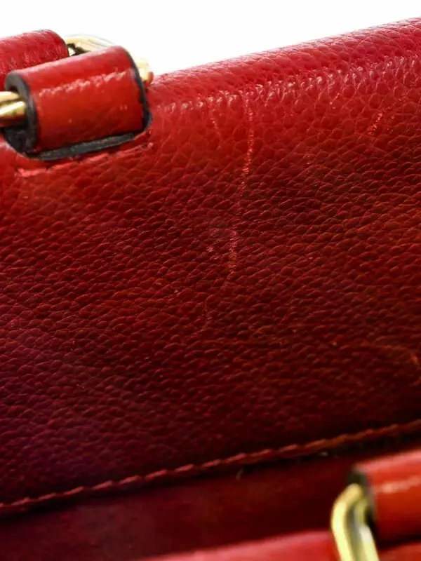 LOUIS VUITTON Venus Handbag Monogram Canvas And Leather Satchel