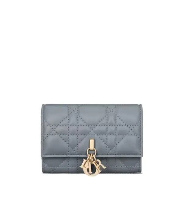 Dior Miss Xs Wallet - Gray