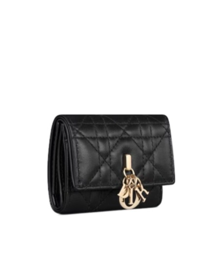 Dior My Veronia Wallet