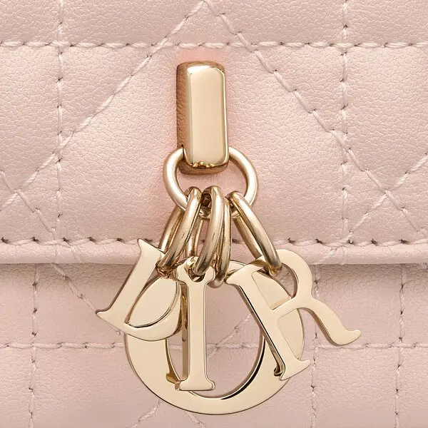 Dior My Talk Phone Pouch