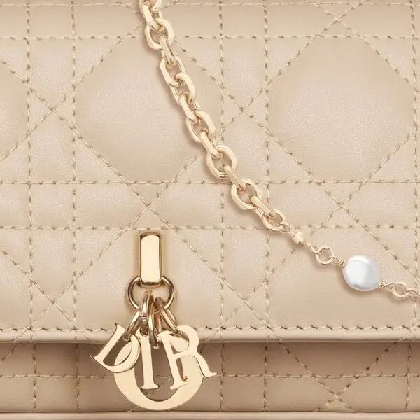 Dior Phone Pouch