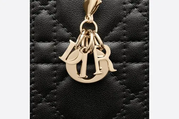 Dior Small Lady Voyageur Coin Purse