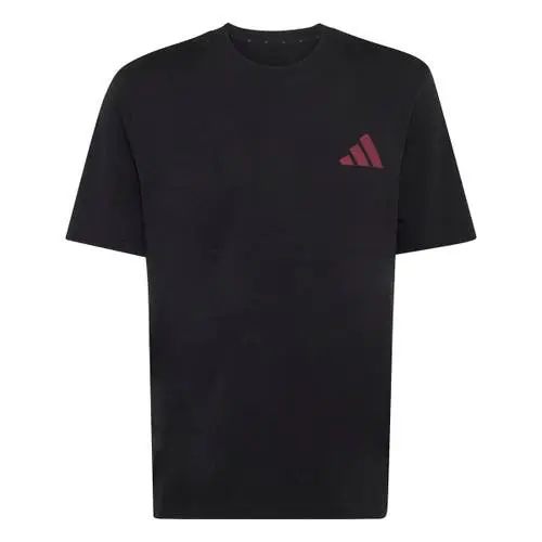 Adidas Liverpool Graphic T-shirt