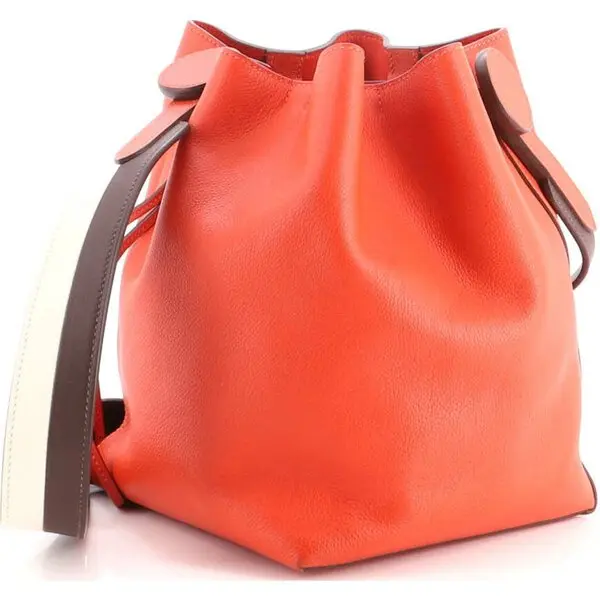 Hermès Licol Bag Evercolor 17