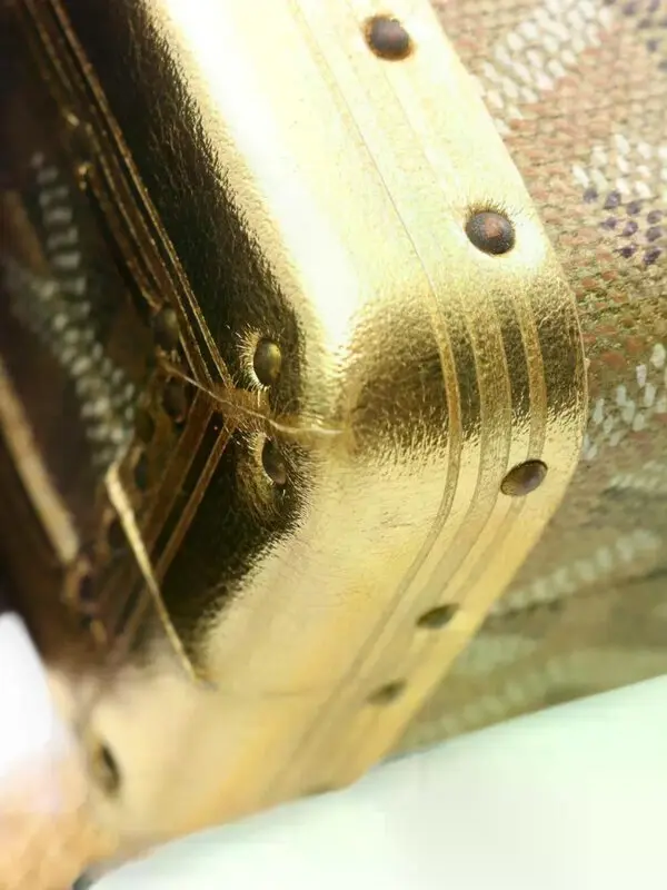 Goyard 2010s Saint-honoré Trunk Shoulder Bag