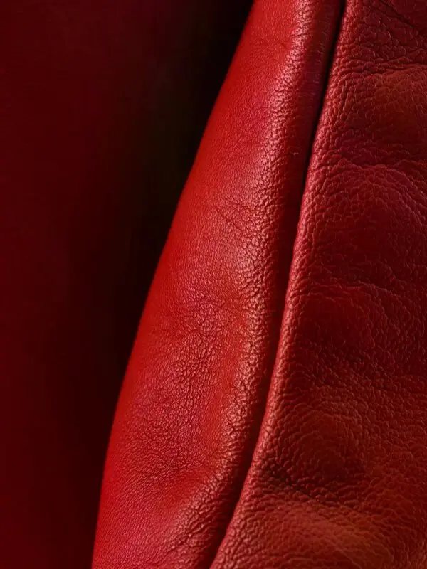 Celine Trio Leather Large Crossbody Bag