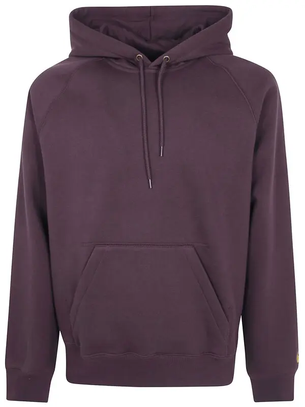 Carhartt Work In Progress Sweater Hooded "chase - Brown