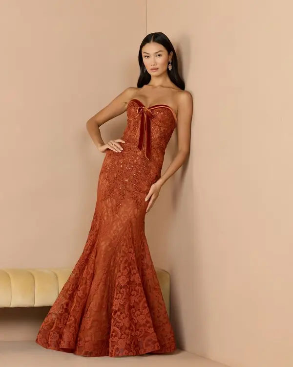 MAC DUGGAL COLLECTION Embroidered Lace Corset Mermaid Gown - Brown