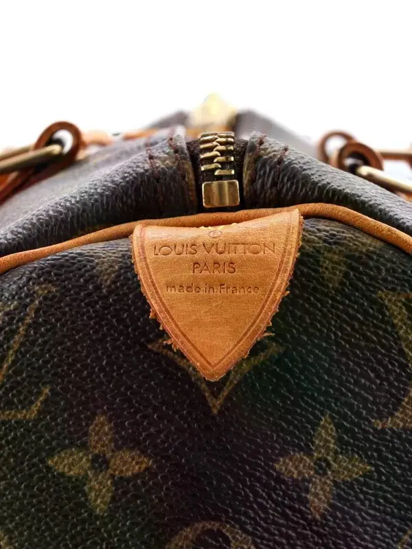LOUIS VUITTON Monogram Canvas Speedy Satchel