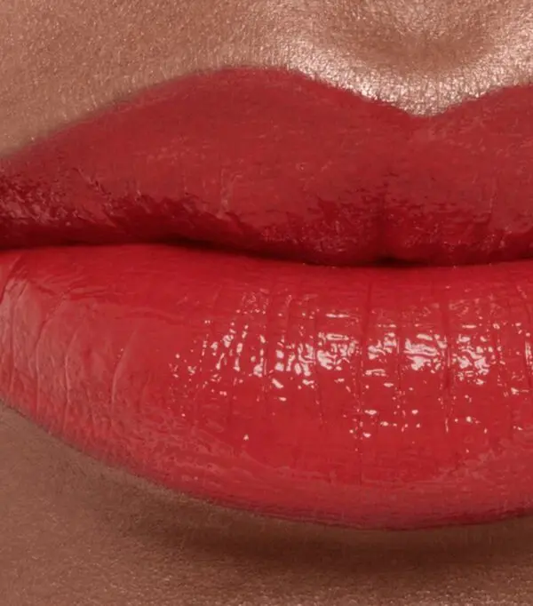 Chanel Rouge Coco Bloom Hydrating Plumping Intense Shine Lip Colour