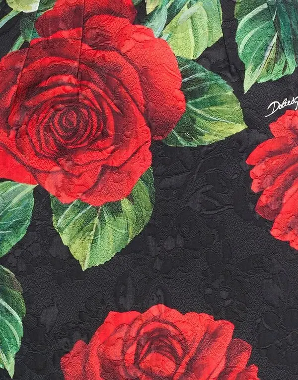 Dolce & Gabbana Mini Skirts
