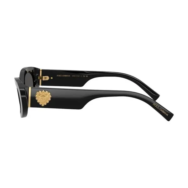 Dolce & Gabbana Dolce Gabbana Eyewear Oval Frame Sunglasses