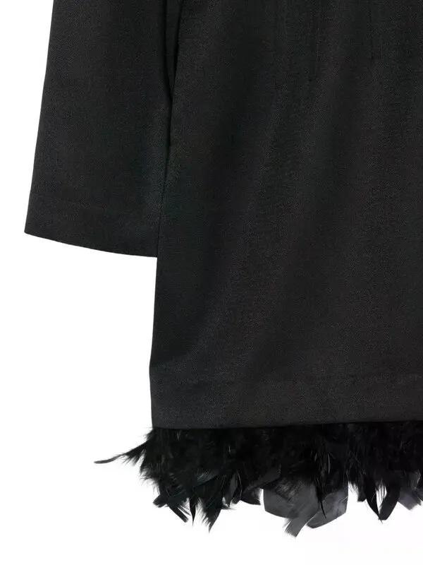 Plan C Feather-trim Long-sleeve Mini Dress