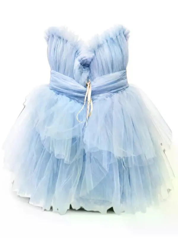 BRONX AND BRONCO Ruffled Tulle Mini Dress - Blue