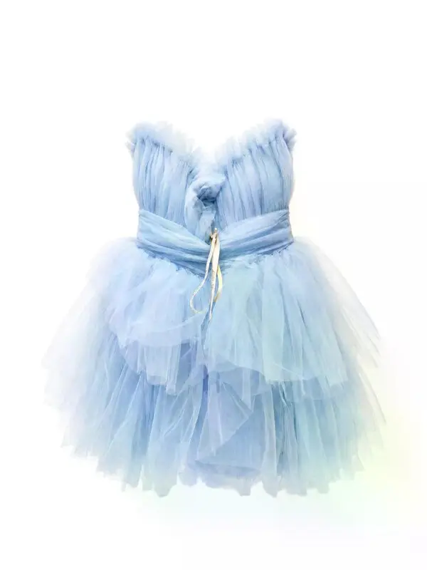 BRONX AND BRONCO Ruffled Tulle Mini Dress - Blue