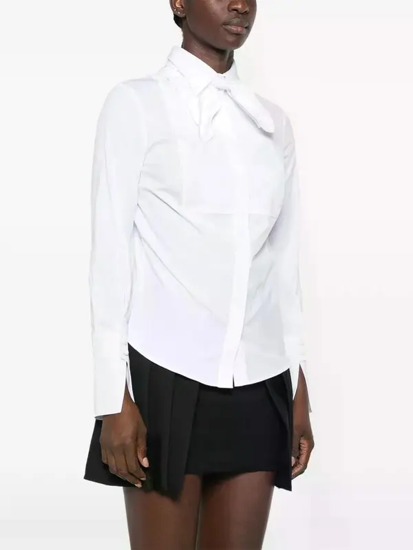 Elisabetta Franchi Pussy-bow Long-sleeve Shirt