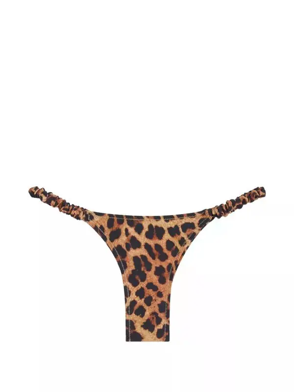 REINA OLGA Leopard-print Bikini Bottoms - Brown