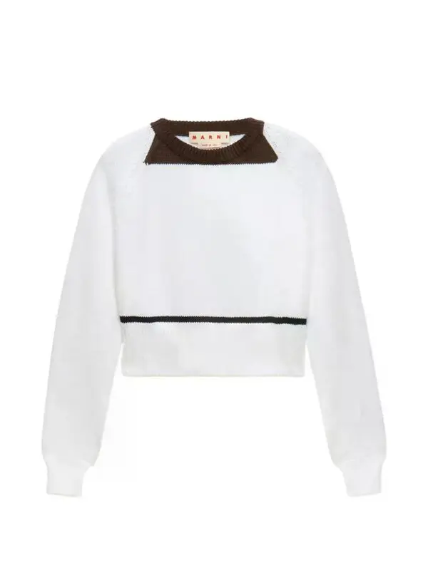 Marni Raglan-sleeve Sweater