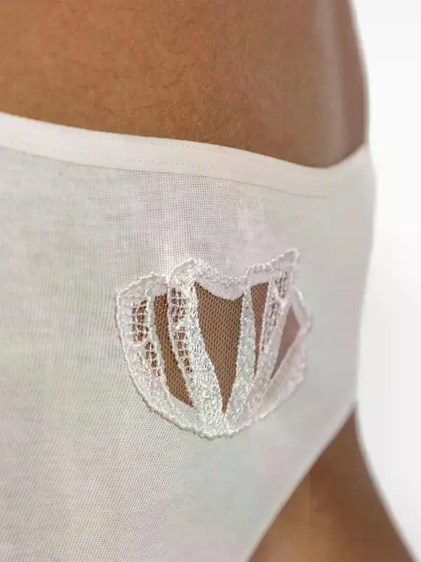 Hanro Rosaria Embroidered Briefs