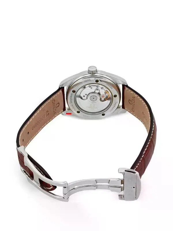 Omega Seamaster Aqua Terra 39mm Watch