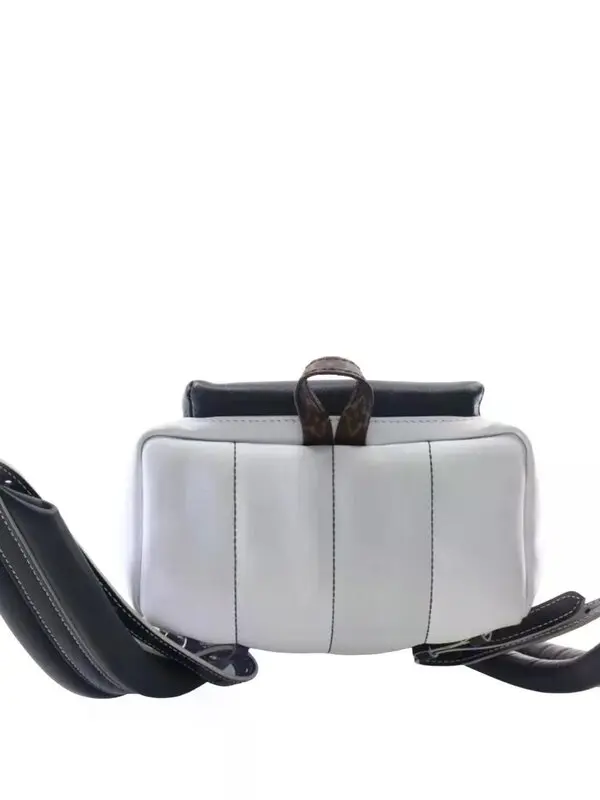 LOUIS VUITTON Calfskin Monogram Airline Palm Springs Pm Backpack