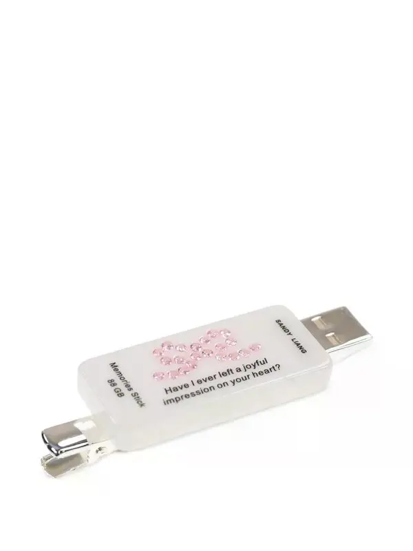 Sandy Liang Memories Usb Hair Clip