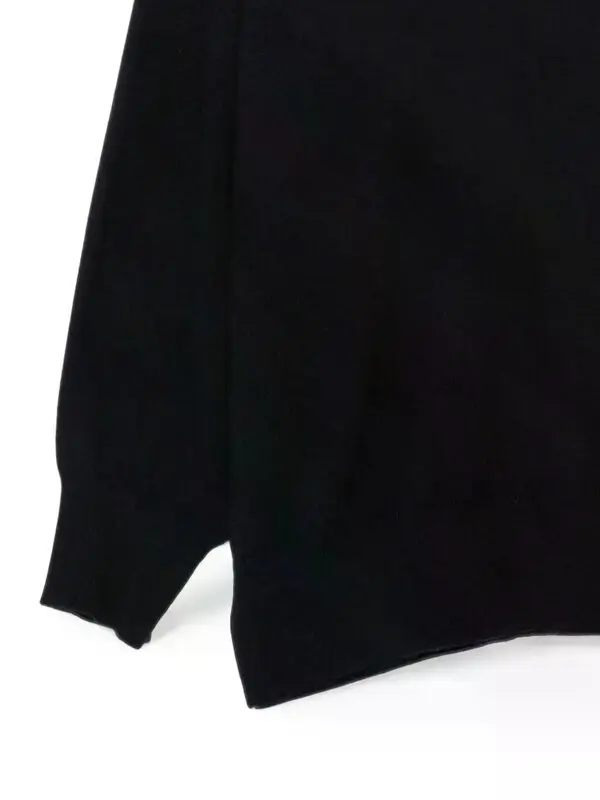 Sofie D'hoore Manuel Roll-neck Long-sleeve Sweater
