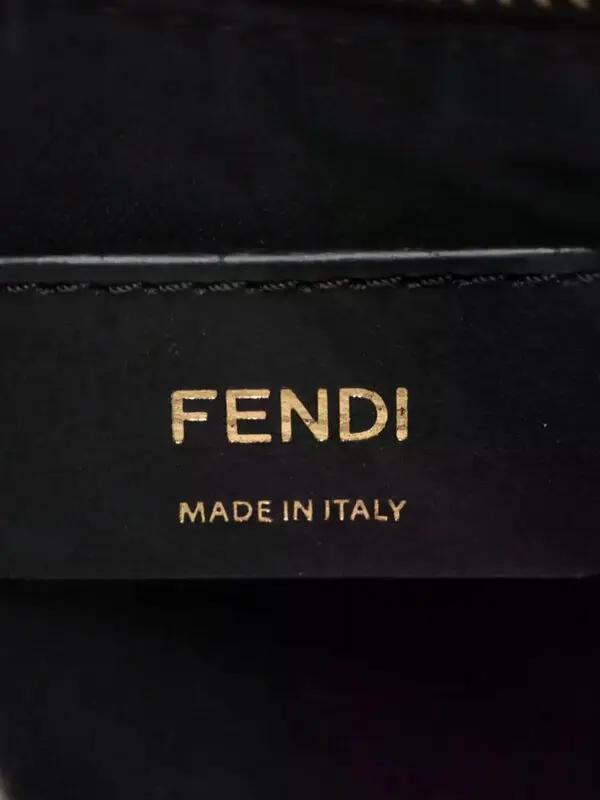 Fendi 2010-2026 Mini Leather Fendigraphy Hobo Bag
