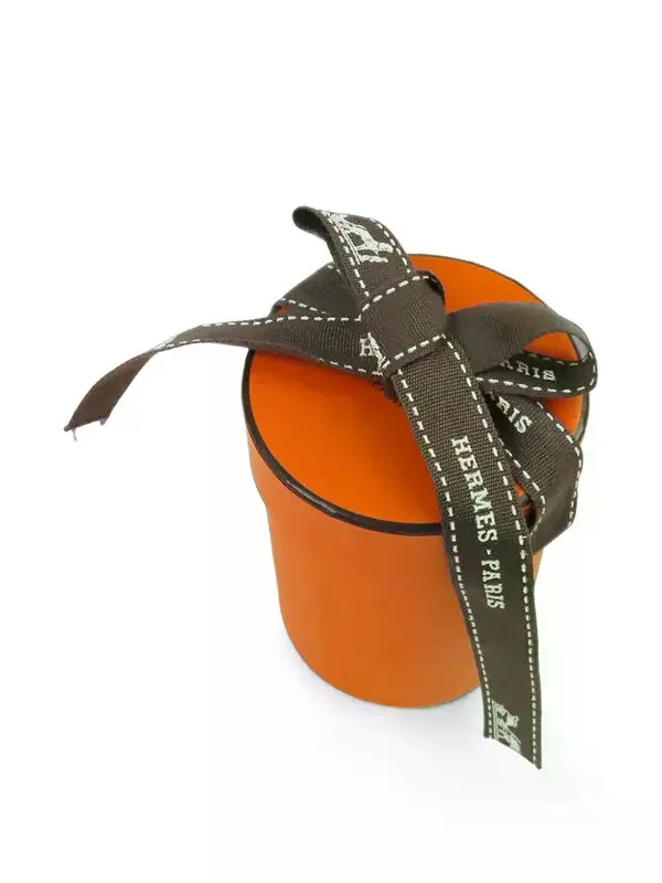 Hermès 2000-2026 Brides De Gala Shadow Silk Twilly Scarf Scarves