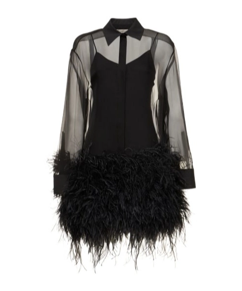 Valentino Garavani Feather-trimmed Dress