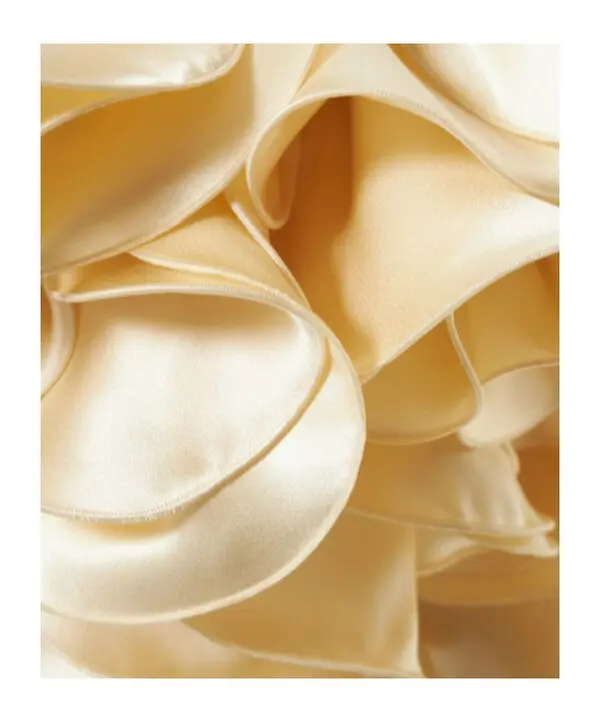 Magda Butrym Satin Sculptural Crop Top