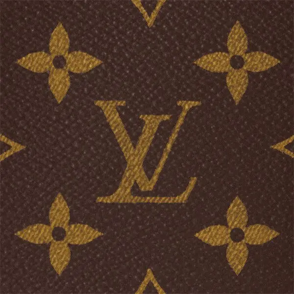 LOUIS VUITTON Christopher Mm Monogram Macassar Canvas